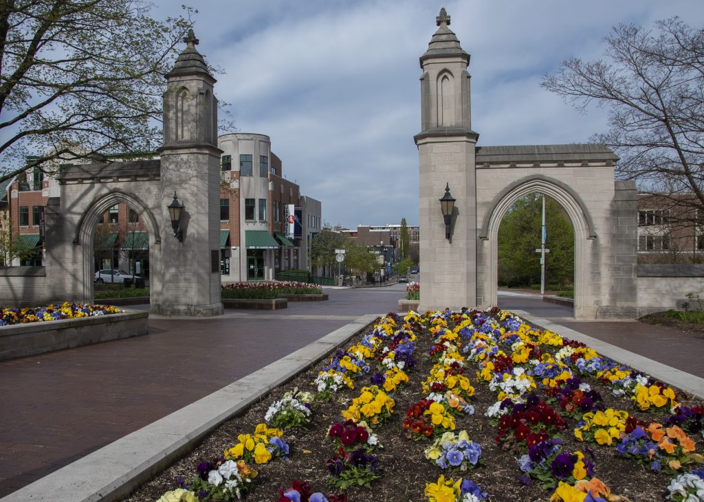 IUSample Gates – ShineyVisions